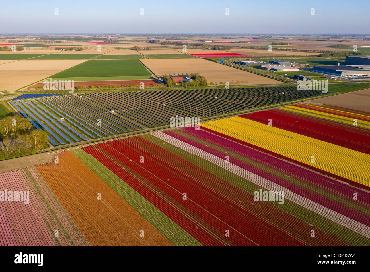 Solar panels field of flowers hi-res stock photography and images - Alamy