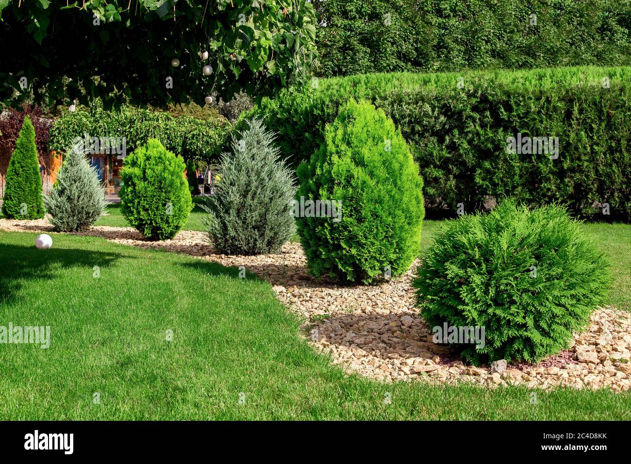 Strewn on lawn hi-res stock photography and images - Alamy