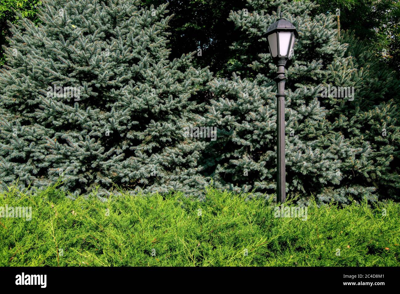 Decorative street lamp post trees in hi-res stock photography and ...