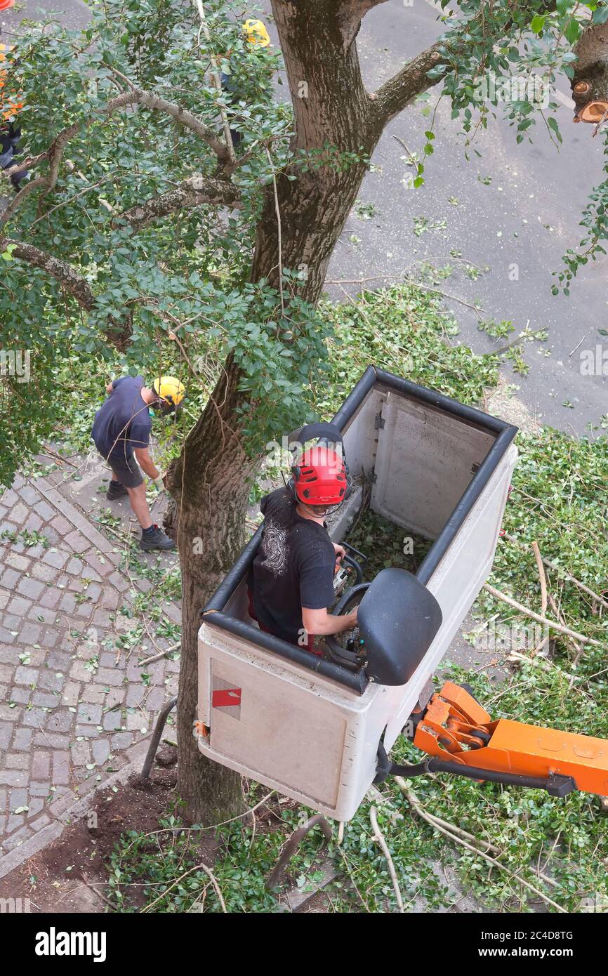 Hydraulic platform to cut tree branches hi-res stock photography and ...