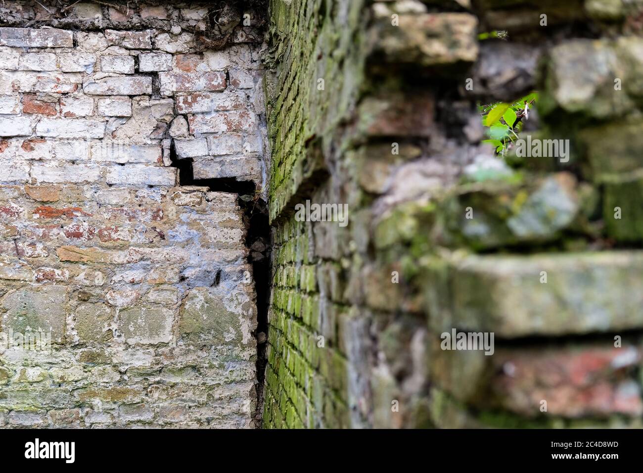 Shallow focus of an ancient stone wall, showing heavy decay and ...