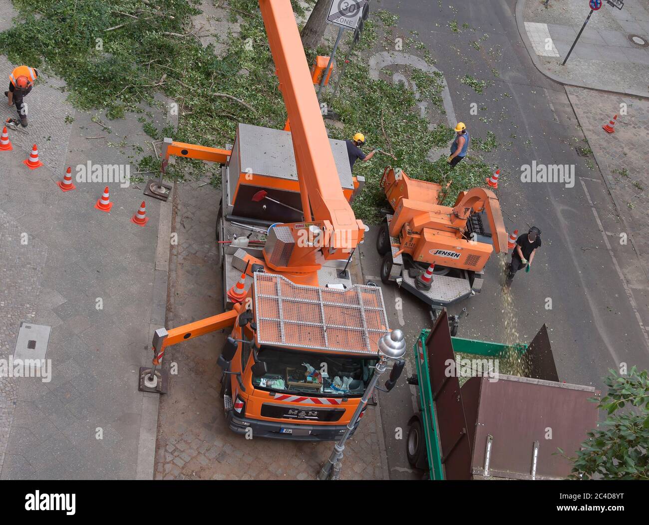 Crown lift tree hi-res stock photography and images - Alamy