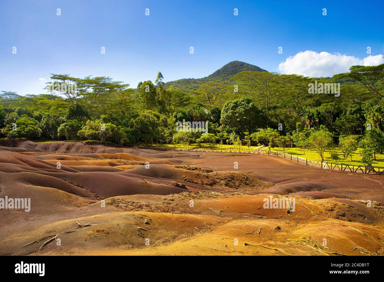 View of the sand dunes at Seven Colored Earth surrounded with trees in ...