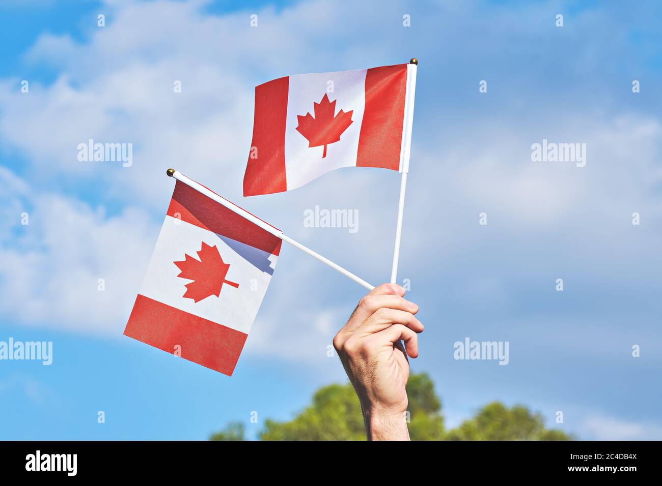 Raised hand with two waving Canadian flag against blue sky. Happy ...