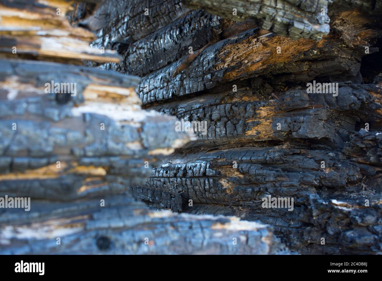 Natural fire ashes with dark grey black coals texture. It is a ...