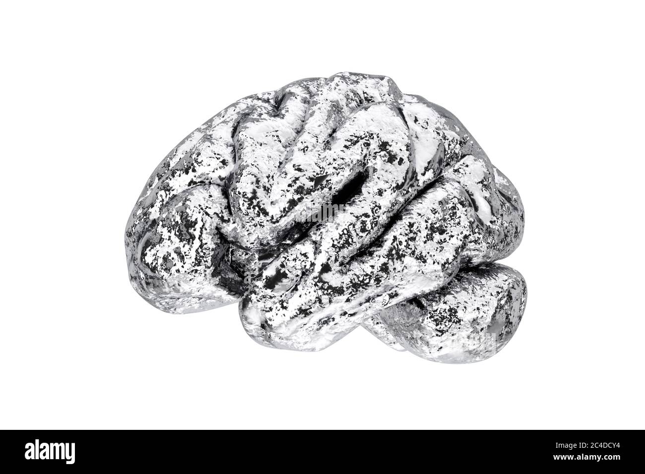 Anatomical Model of Human Silver Brain on a white background. 3d ...