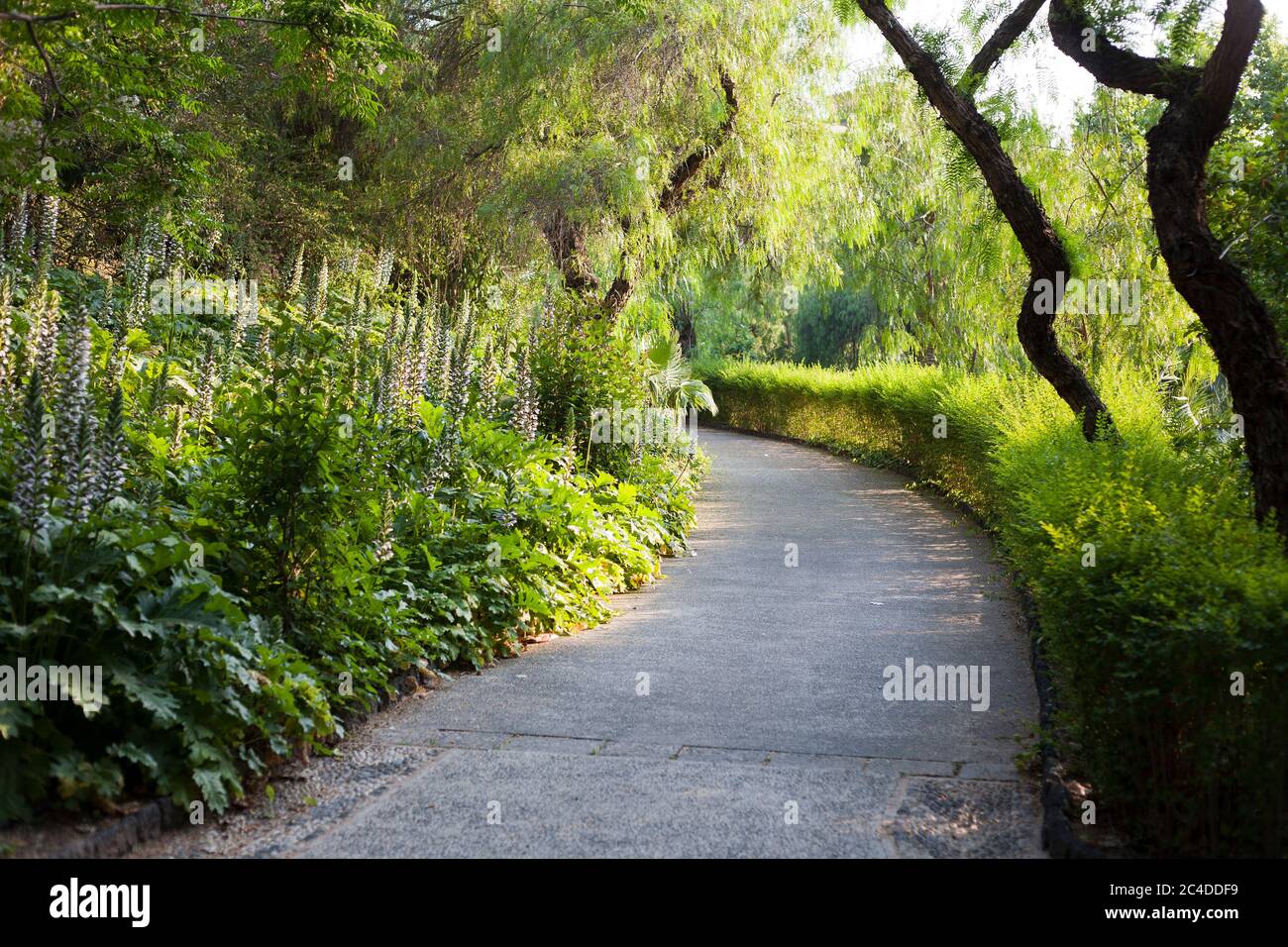 Winding pathway hi-res stock photography and images - Alamy