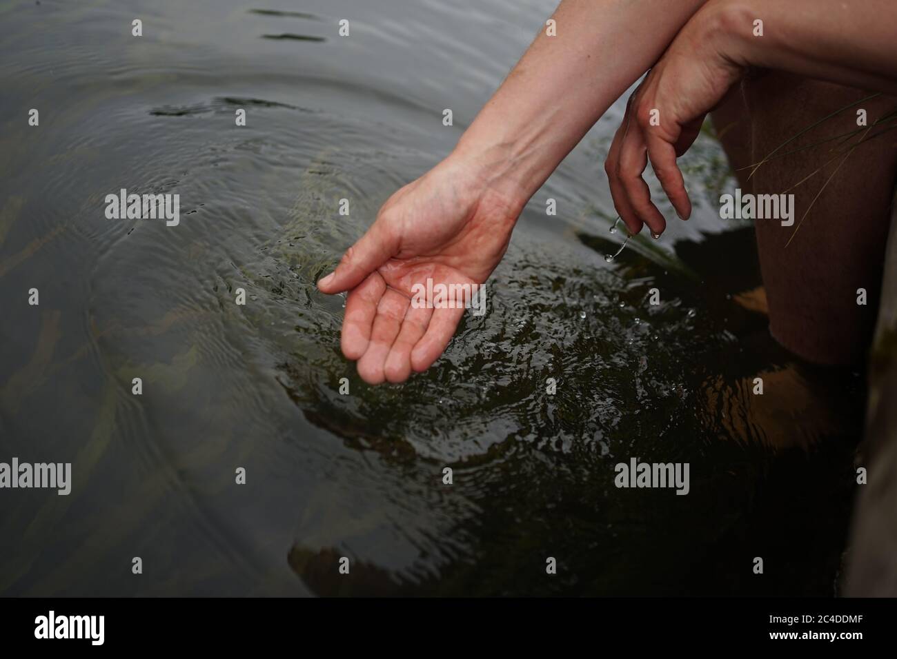 Hands scooping water hi-res stock photography and images - Alamy