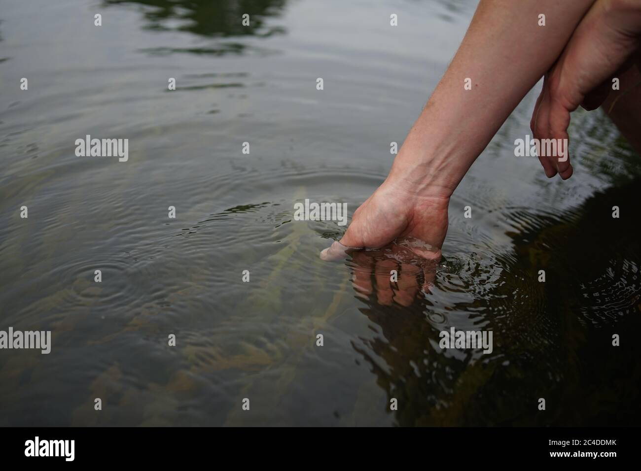 Hands dipping in river water Stock Photo - Alamy