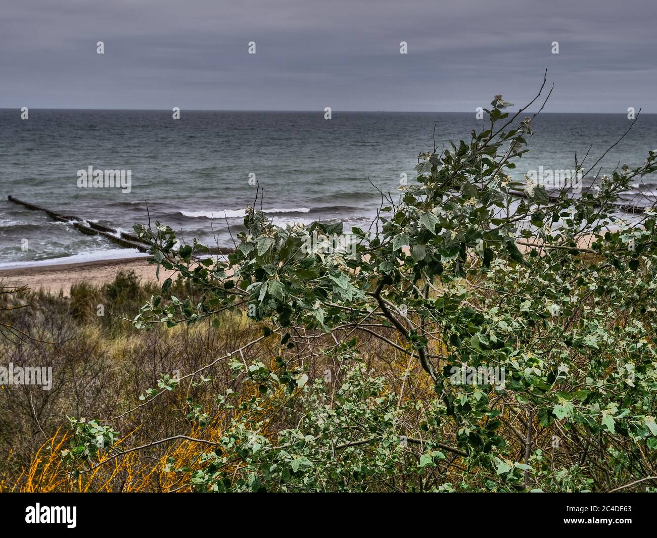Baltic sea in germany Stock Photo - Alamy