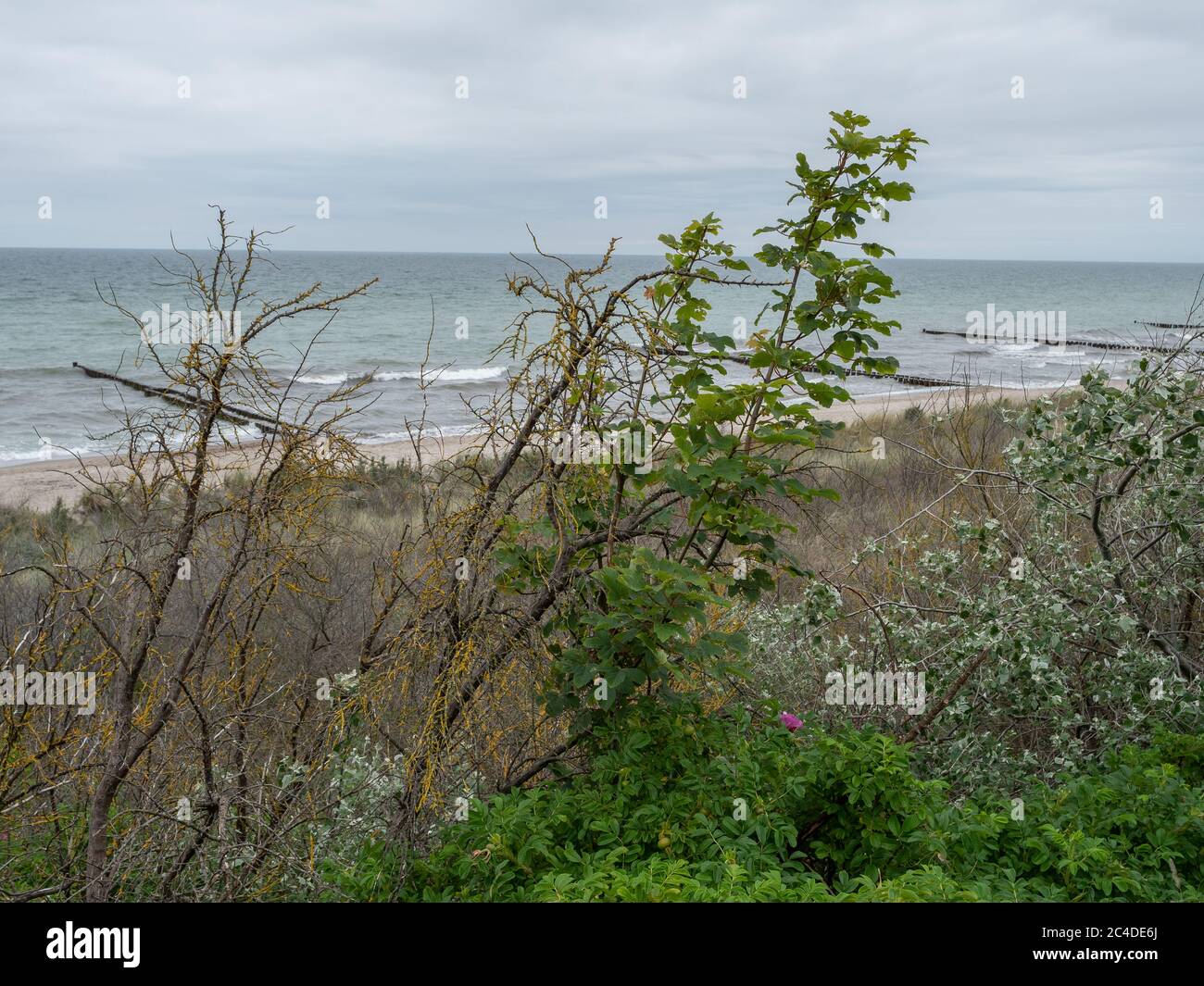 Baltic sea in germany Stock Photo - Alamy