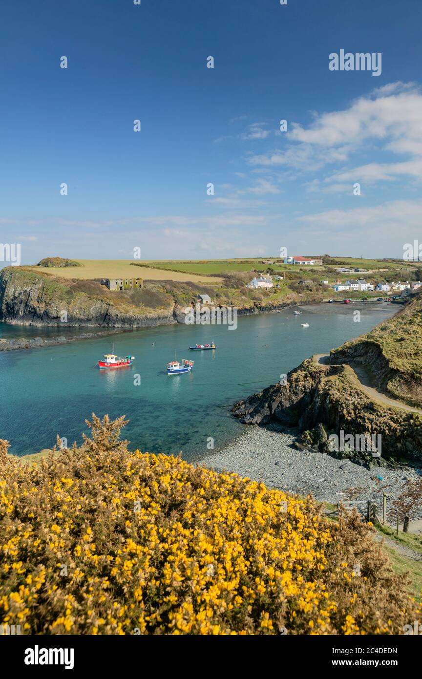 Coast path abercastle hi-res stock photography and images - Alamy