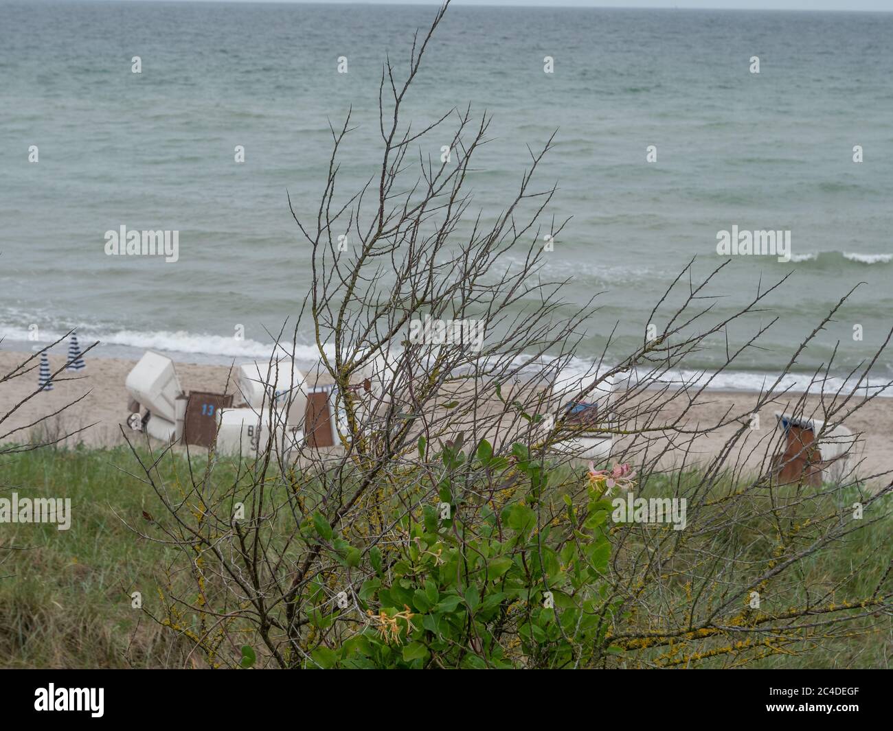 the beach of ahrenshoop Stock Photo - Alamy