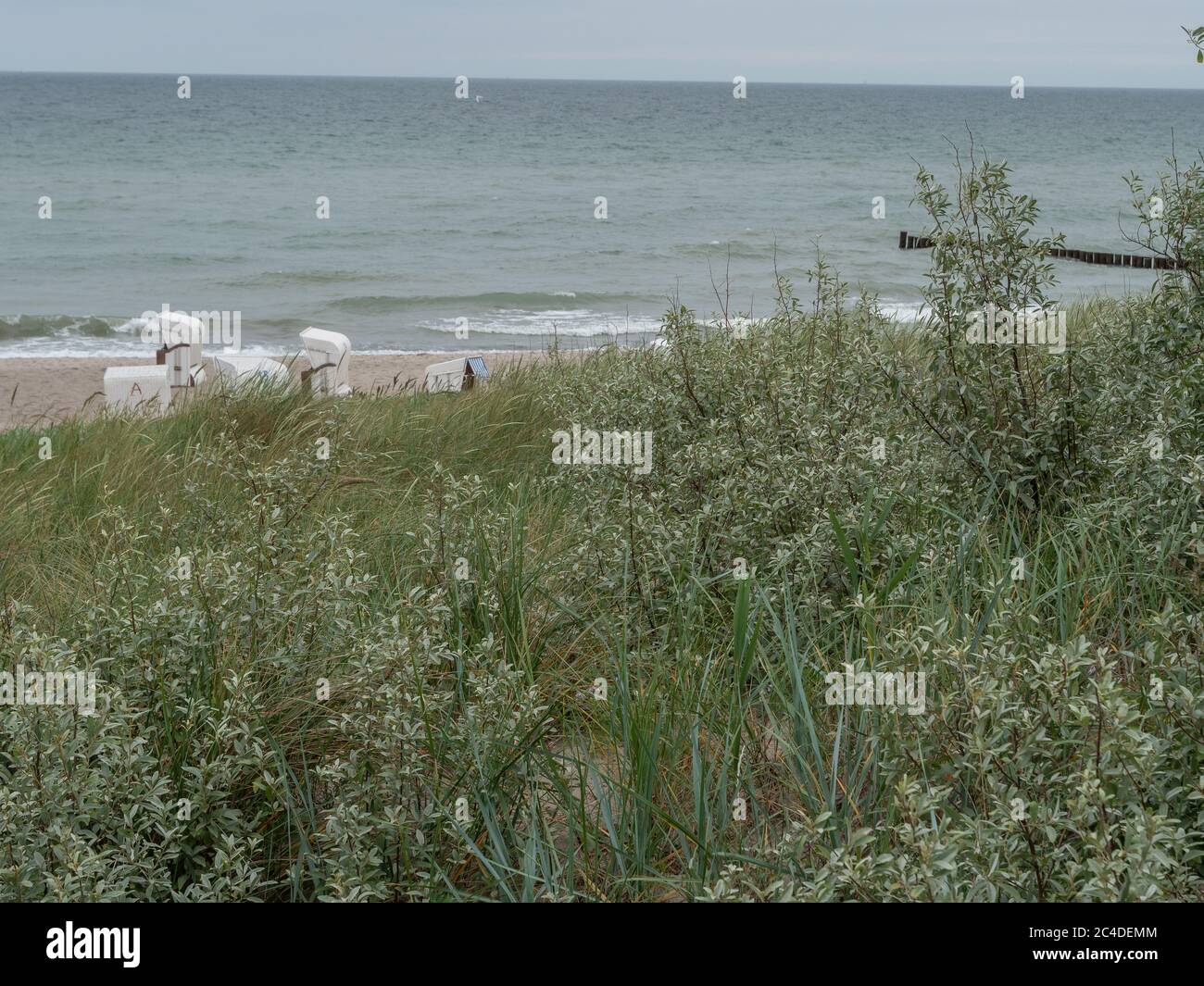 the beach of ahrenshoop Stock Photo - Alamy