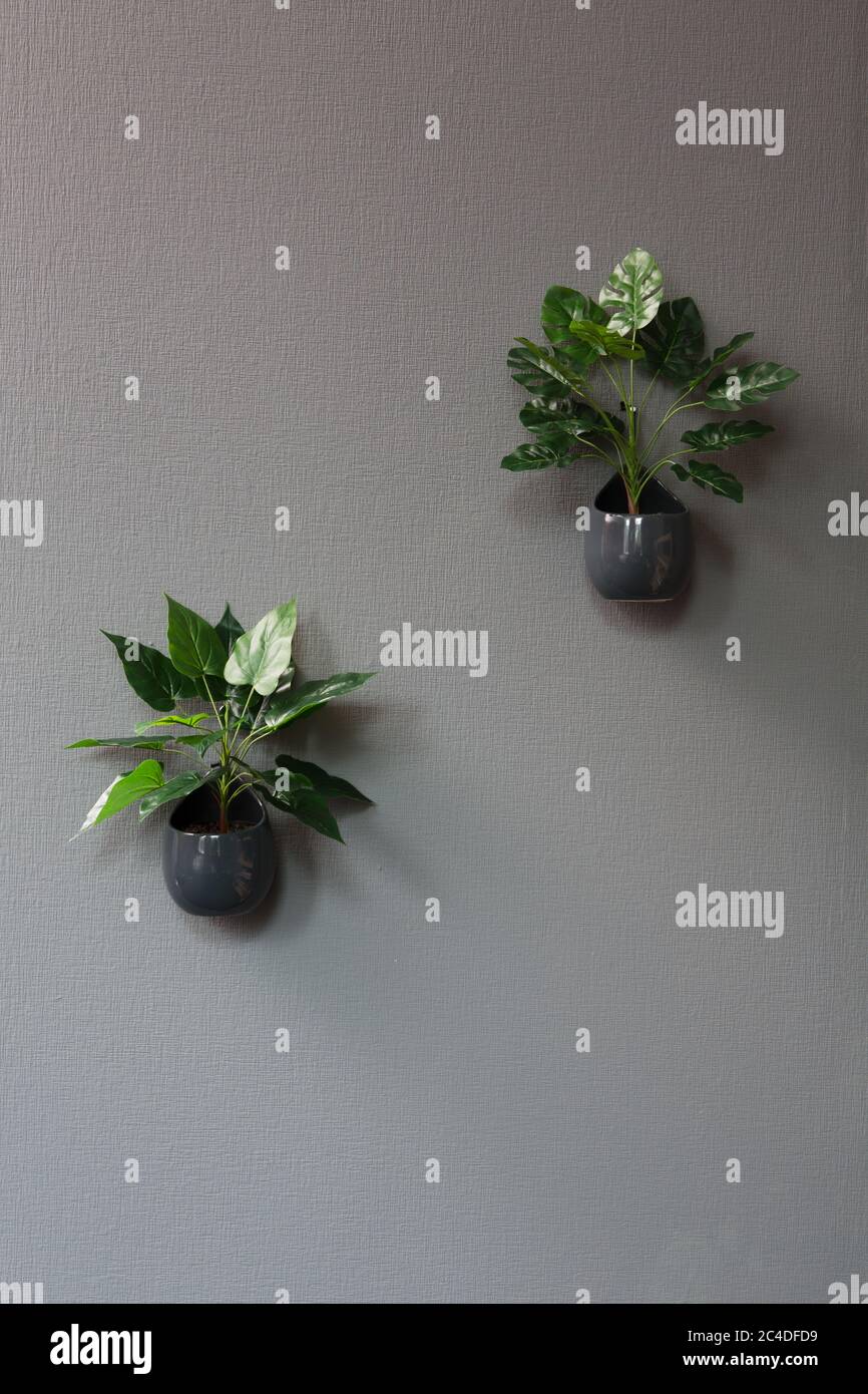 Beautiful artificial house made hi-res stock photography and images - Alamy