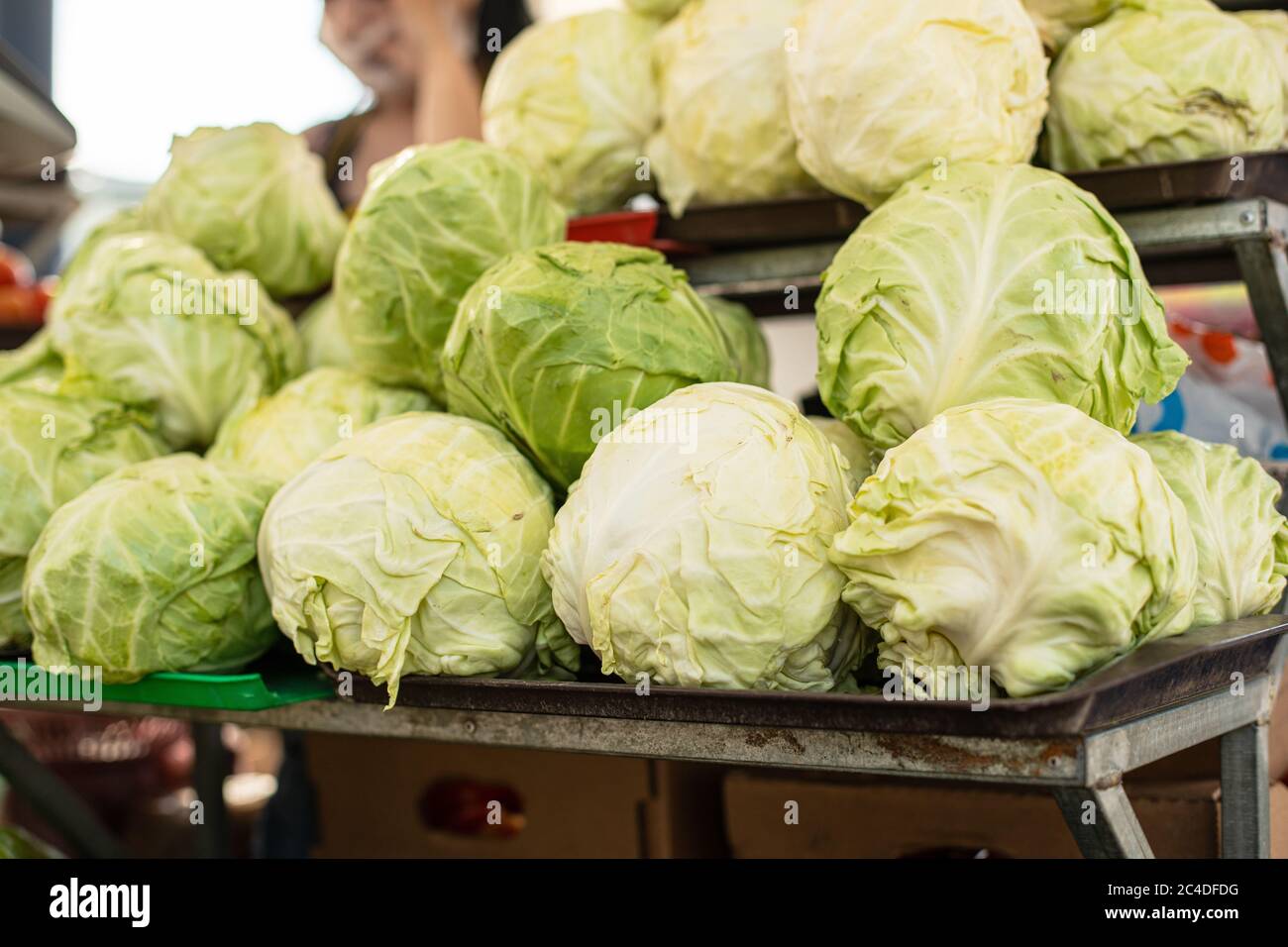 Group of fresh green cabbage in a supermarket Stock Photo - Alamy