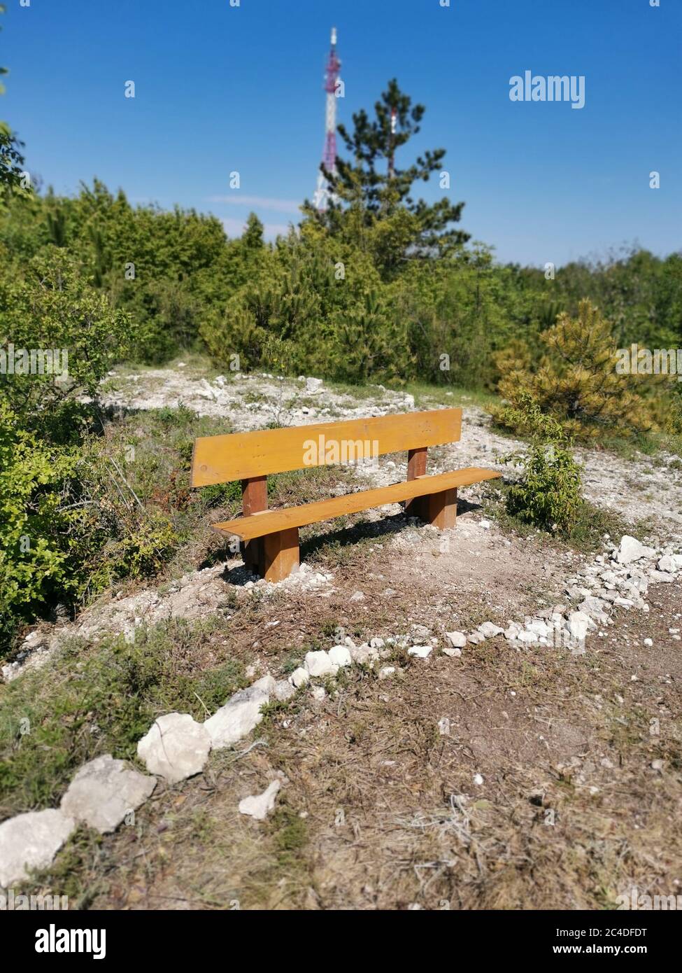 Vertical shot park bench hi-res stock photography and images - Alamy