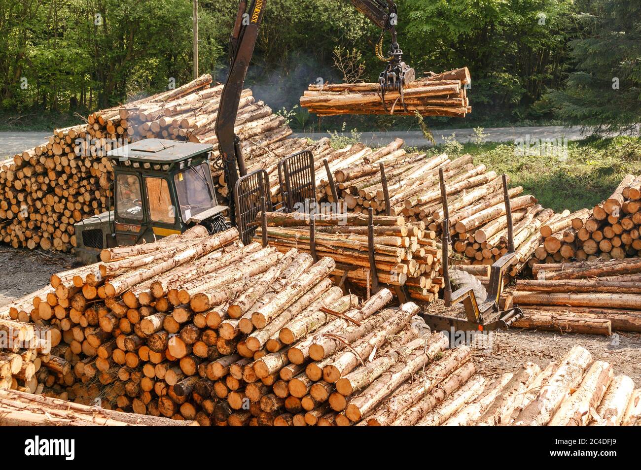 loading timber Timber Harvesting Carmarthenshire Wales Stock Photo - Alamy