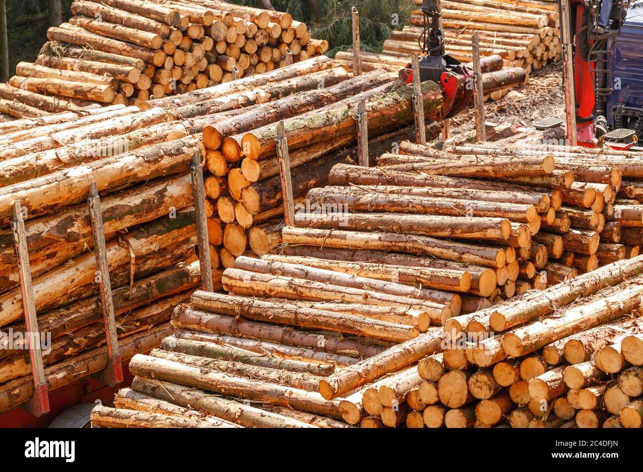 loading timber Timber Harvesting Carmarthenshire Wales Stock Photo - Alamy
