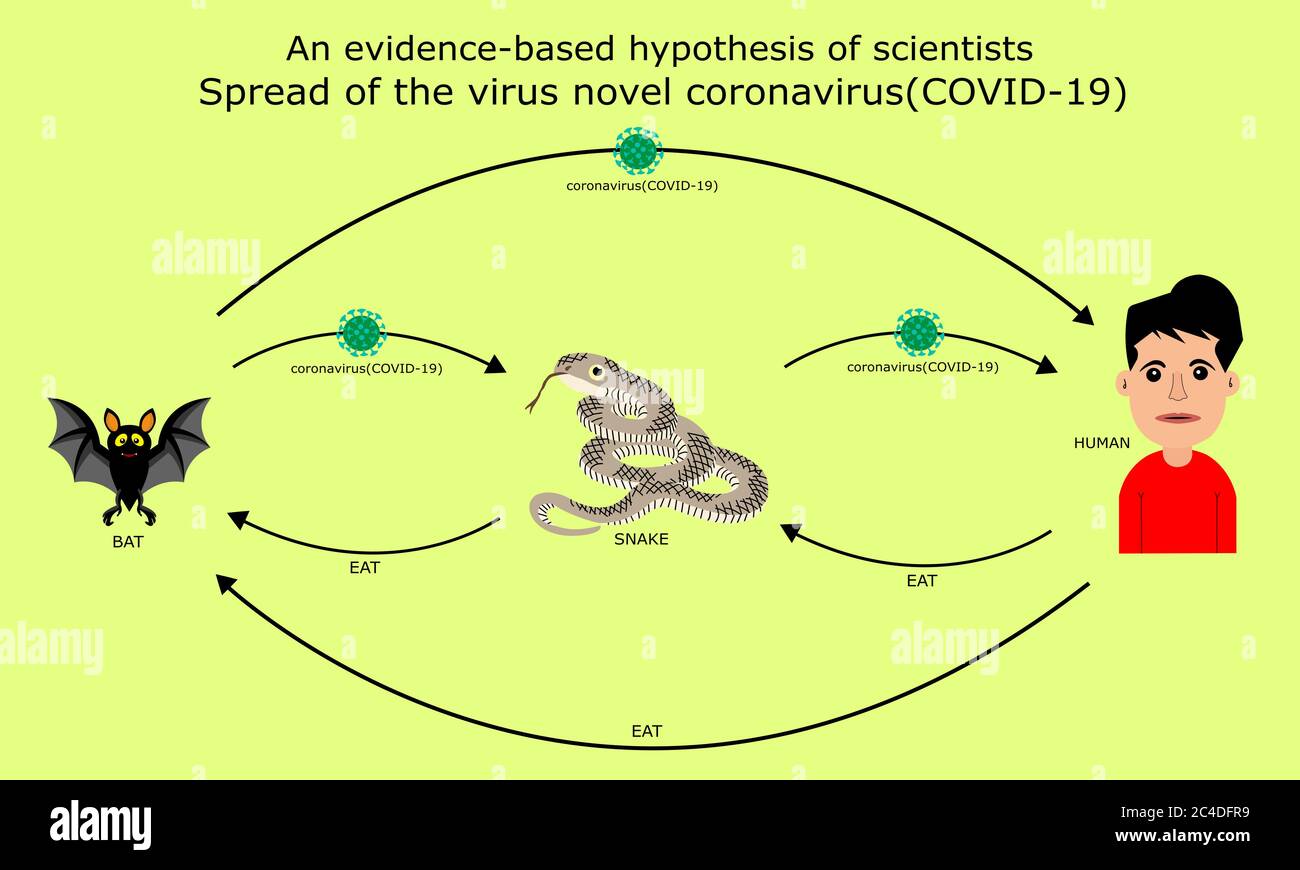 an evidence-based hypothesis of scientists spread of the virus novel ...