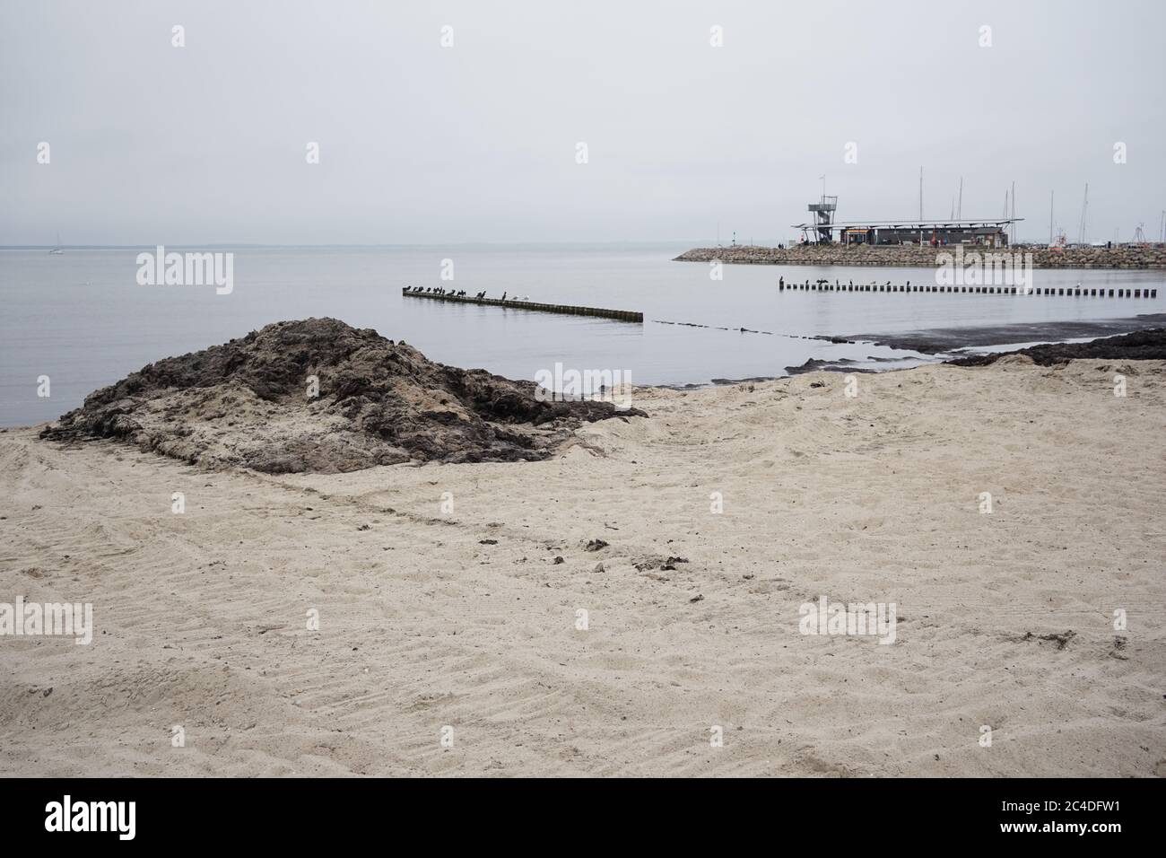 Seaweed decomposition hi-res stock photography and images - Alamy