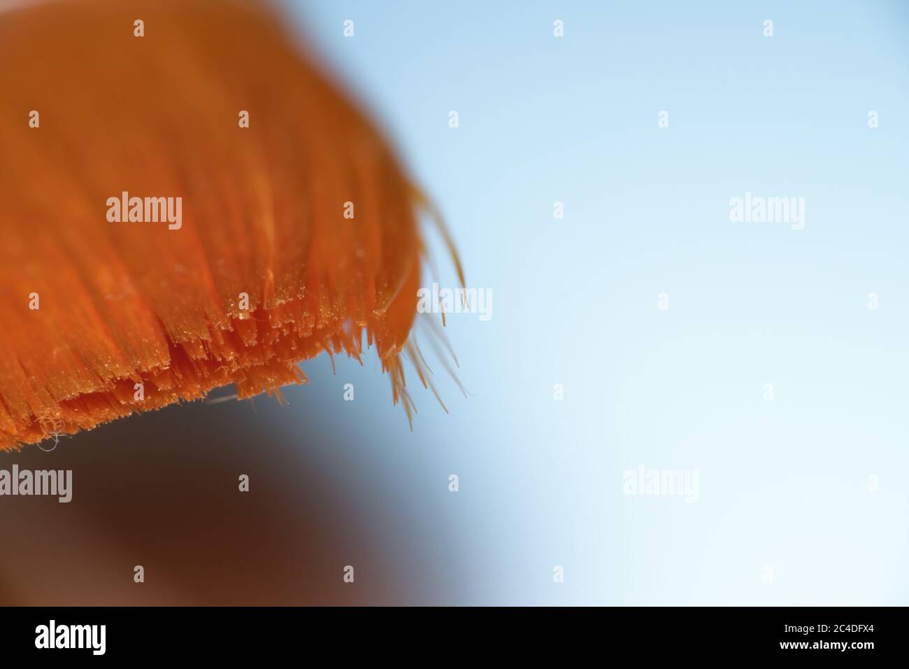 Painting brush tip selective focusing in a white background Stock Photo ...