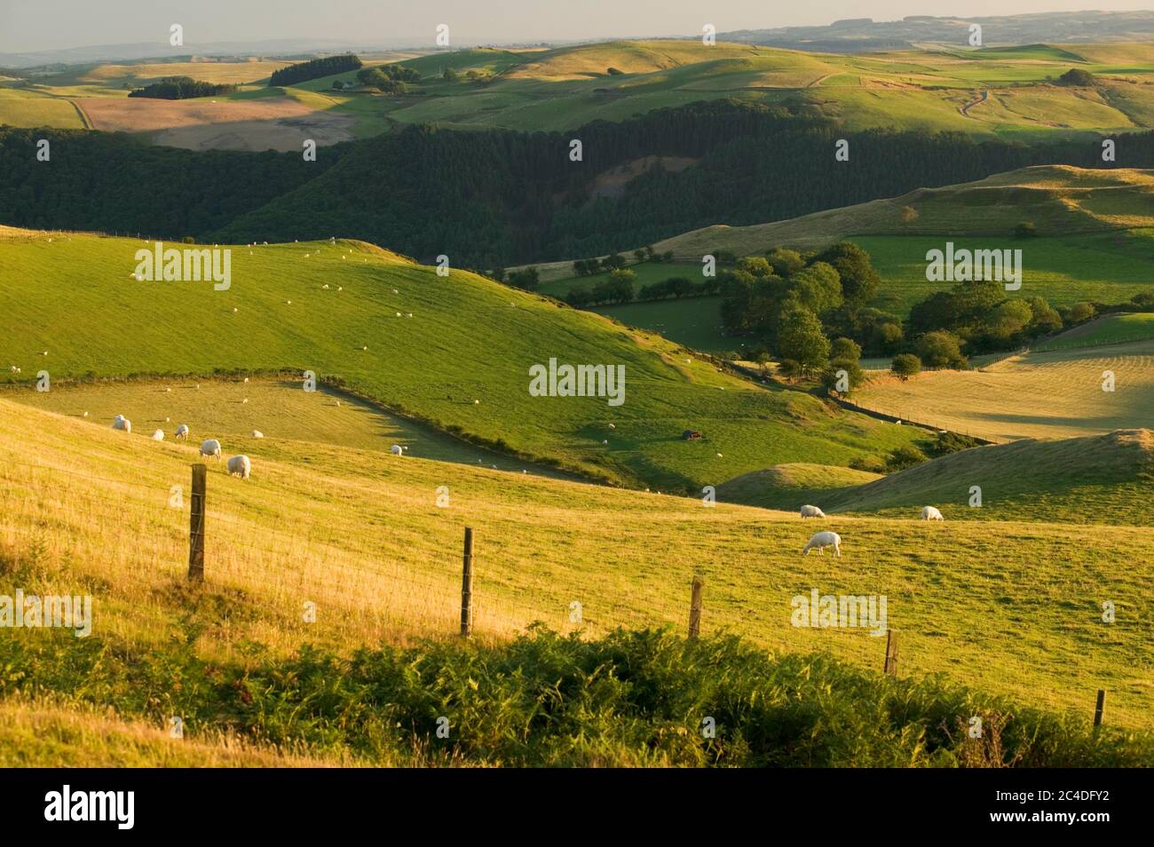 Ceredigion Countryside Wales High Resolution Stock Photography and ...
