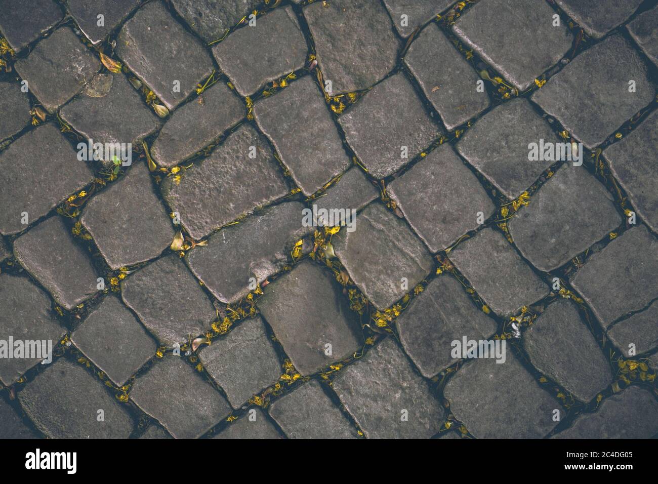 Top view of a cobblestone road Stock Photo - Alamy