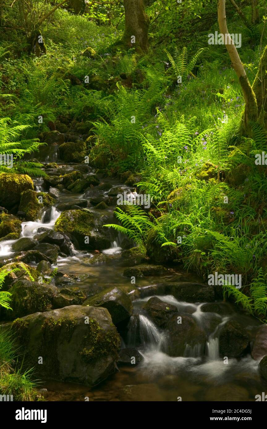 Waterfall at Ystradfellte Brecon Beacons Powys Wales Stock Photo - Alamy