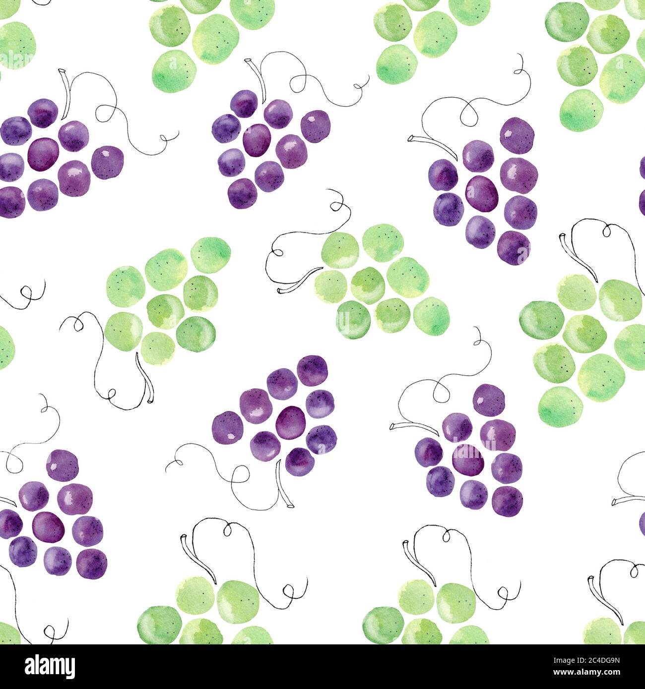 Watercolor grapes fruit clipart. Seamless pattern digital paper. Hand ...