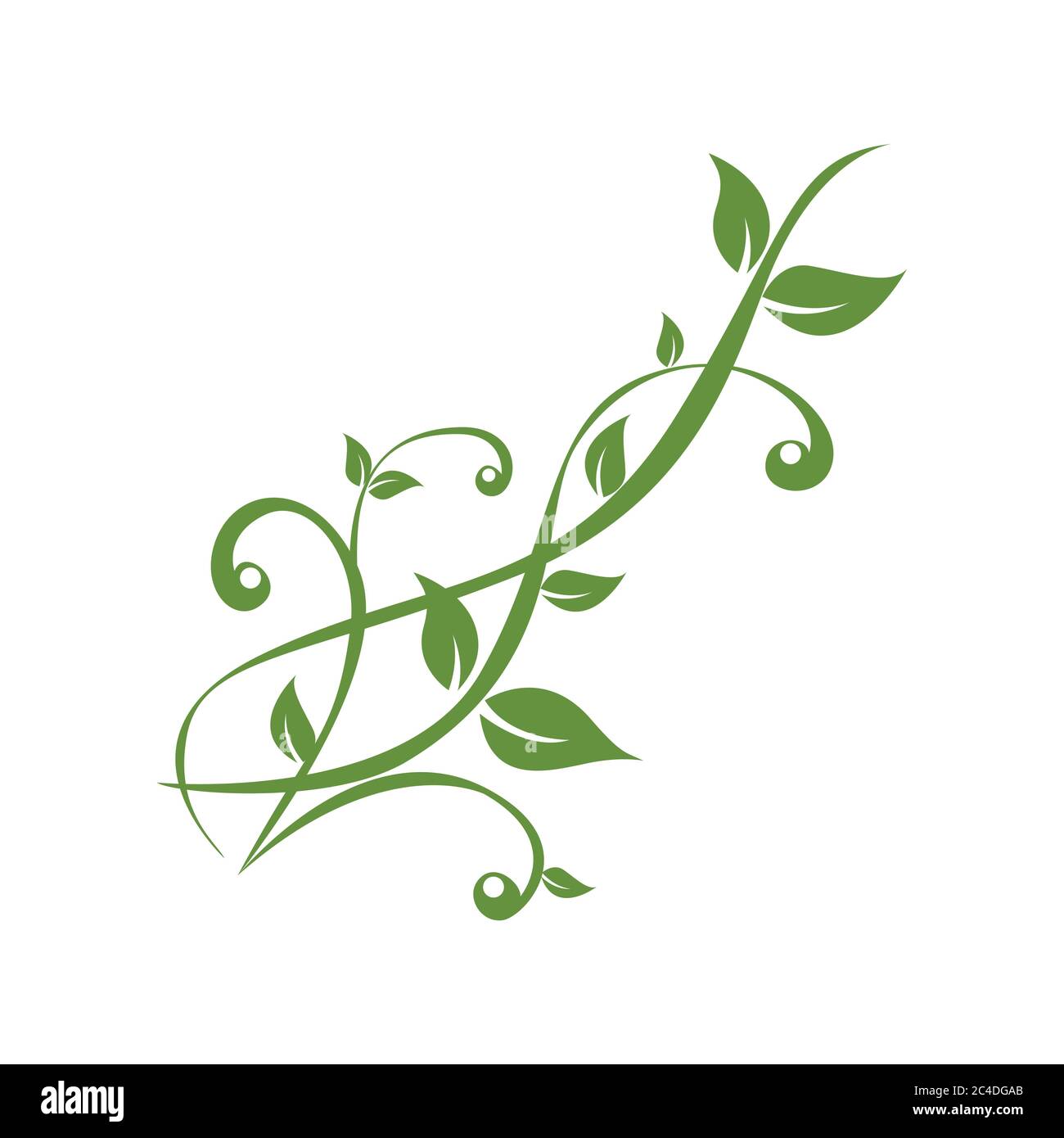 Climbing flowering plants Stock Vector Images - Alamy