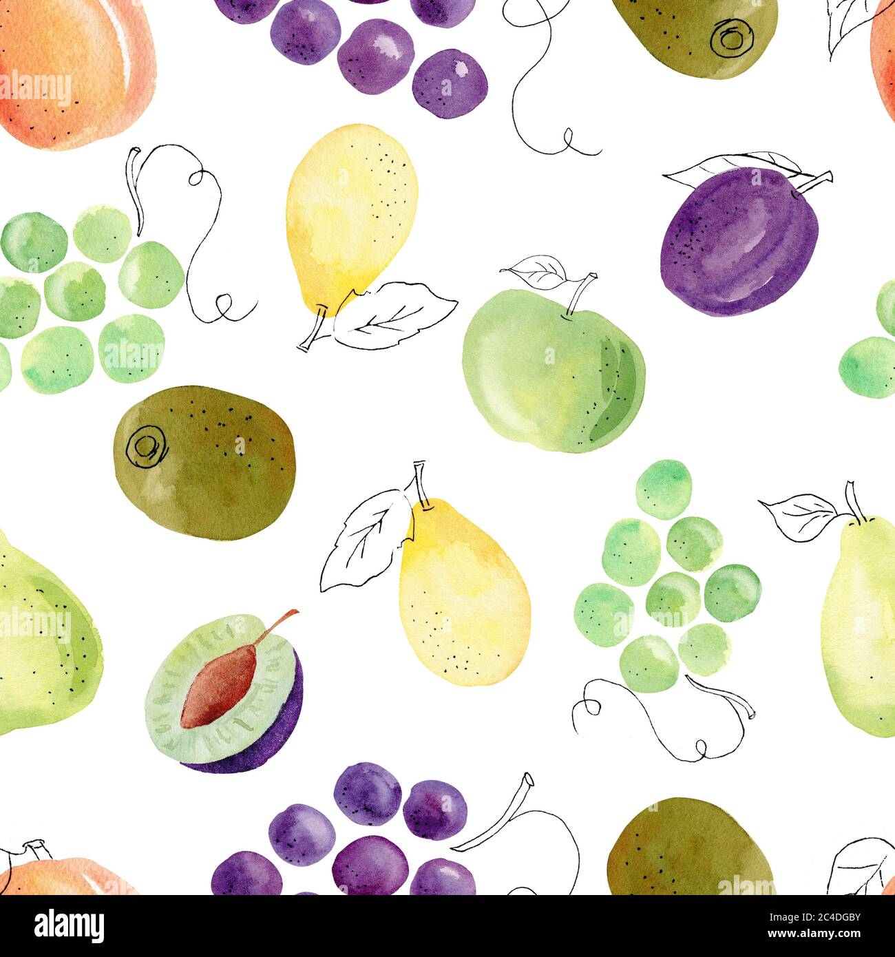 Watercolor fruit clipart. Hand painted digital paper. Grapes, pear ...