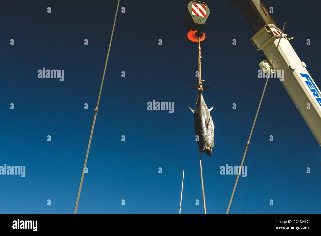 Shot of a fish hanging from a crane Stock Photo - Alamy