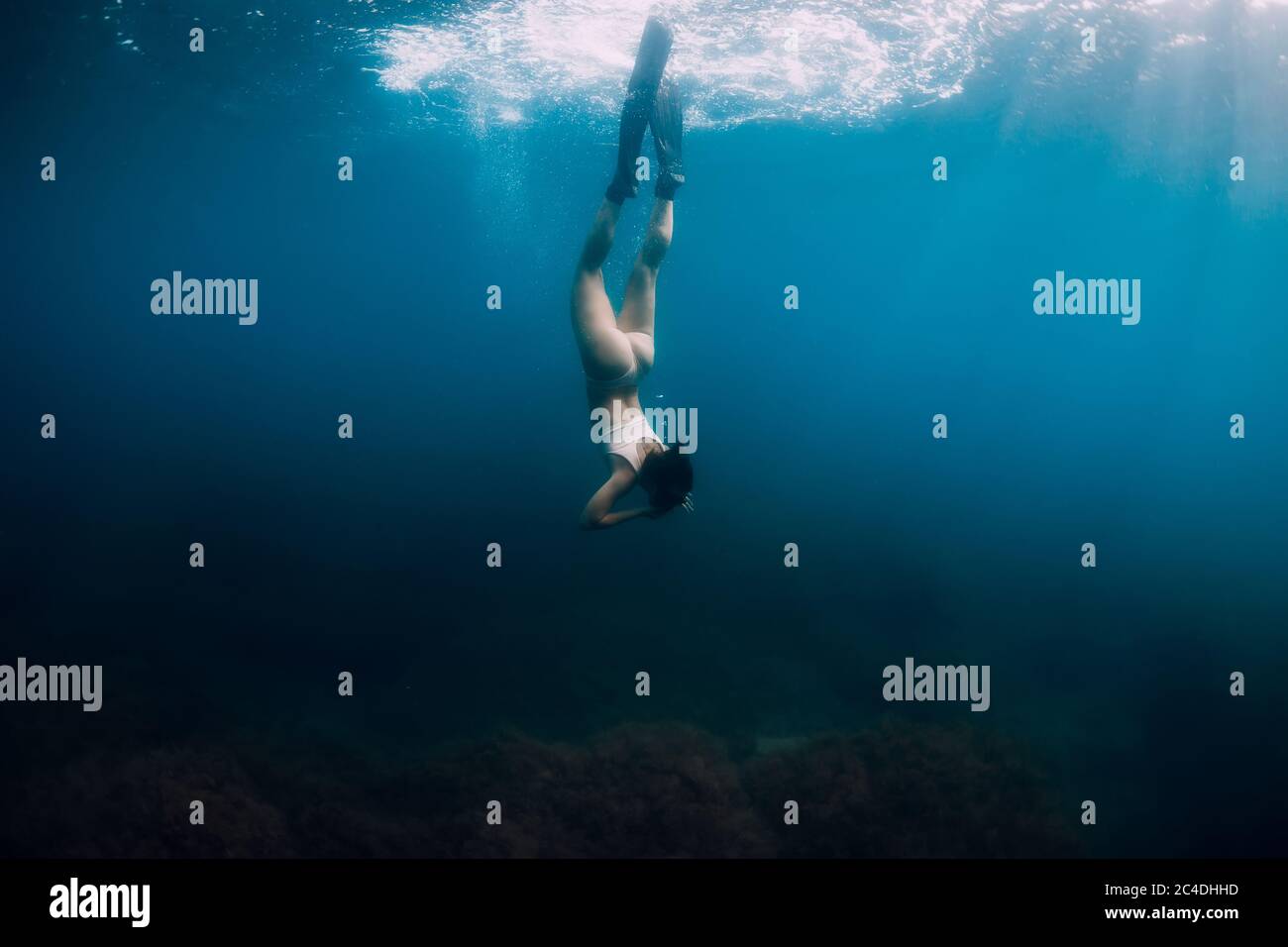Dive High Resolution Stock Photography and Images - Alamy