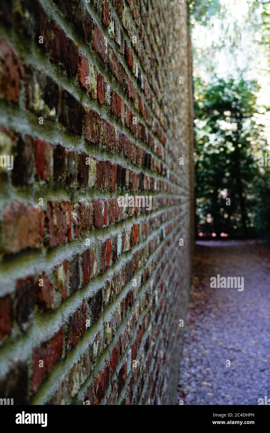 Closeup the old brick wall in diminishing perspective Stock Photo - Alamy