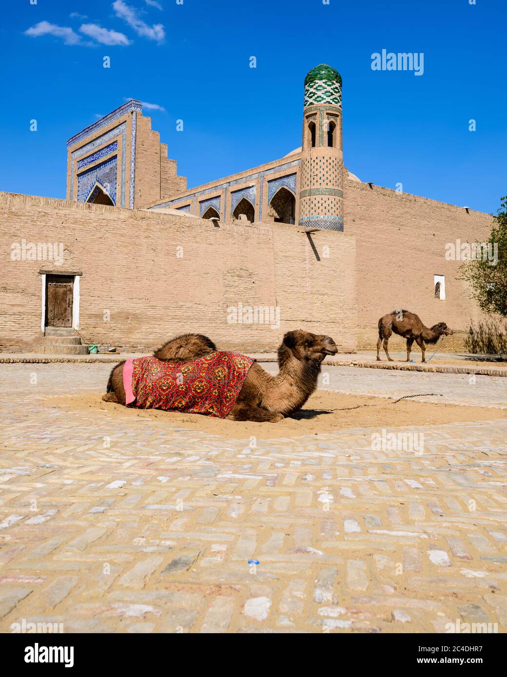 Chiva animal hi-res stock photography and images - Alamy