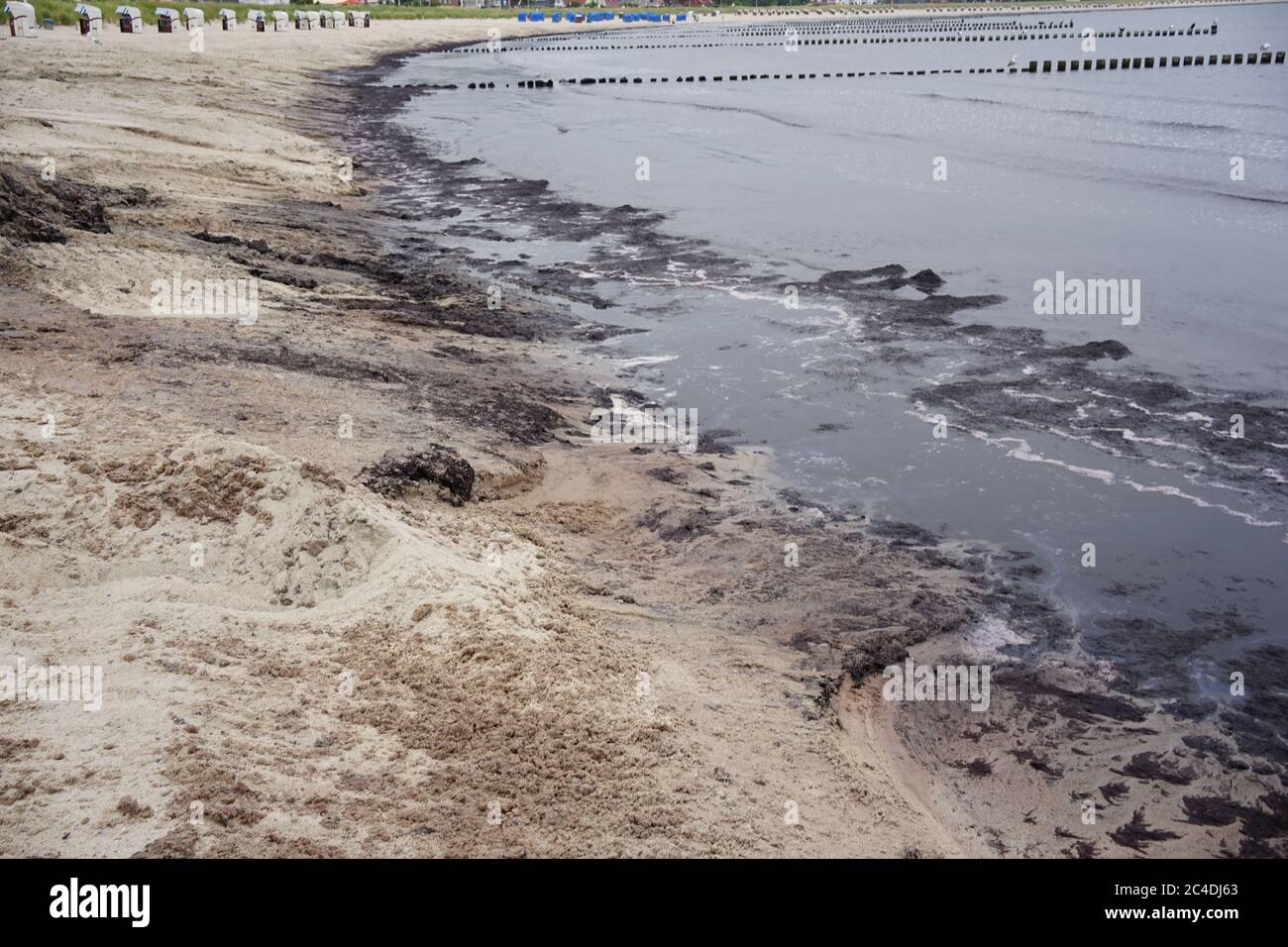 Seaweed decomposition hi-res stock photography and images - Alamy