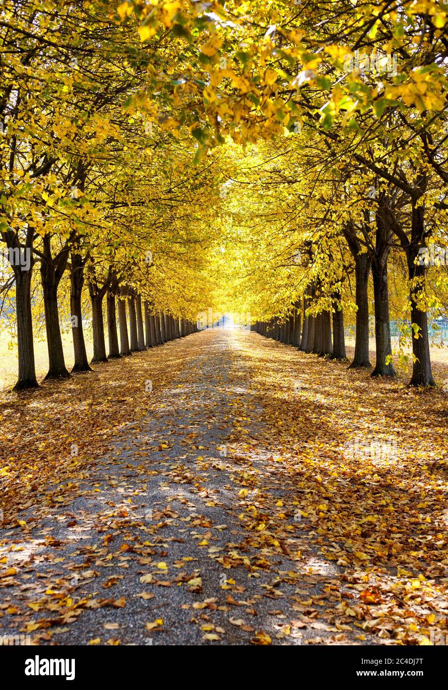 Portrait orientation image hi-res stock photography and images - Alamy