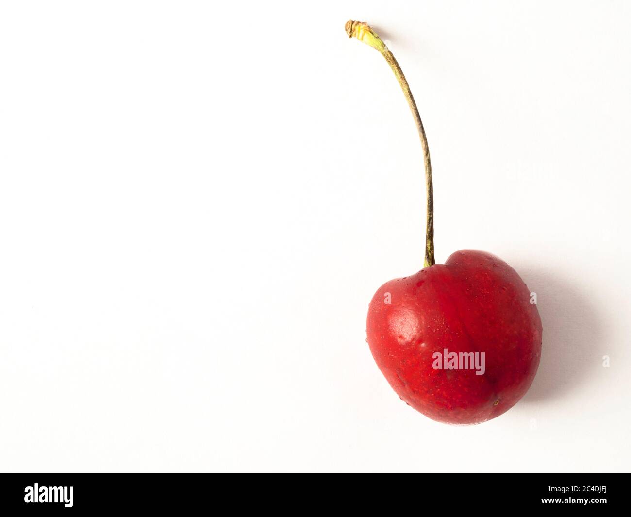 A single fresh ripe cherry isolated on a white background Stock Photo ...