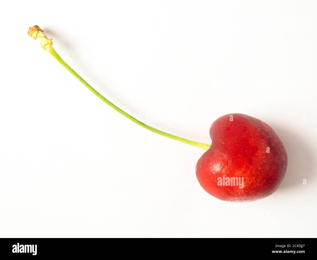 Single cherry fruit hi-res stock photography and images - Alamy