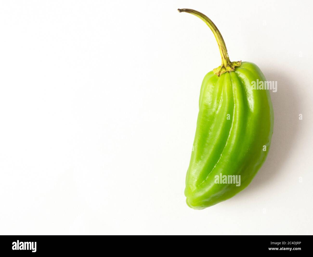 A single fresh green chilli pepper isolated on a white background with ...