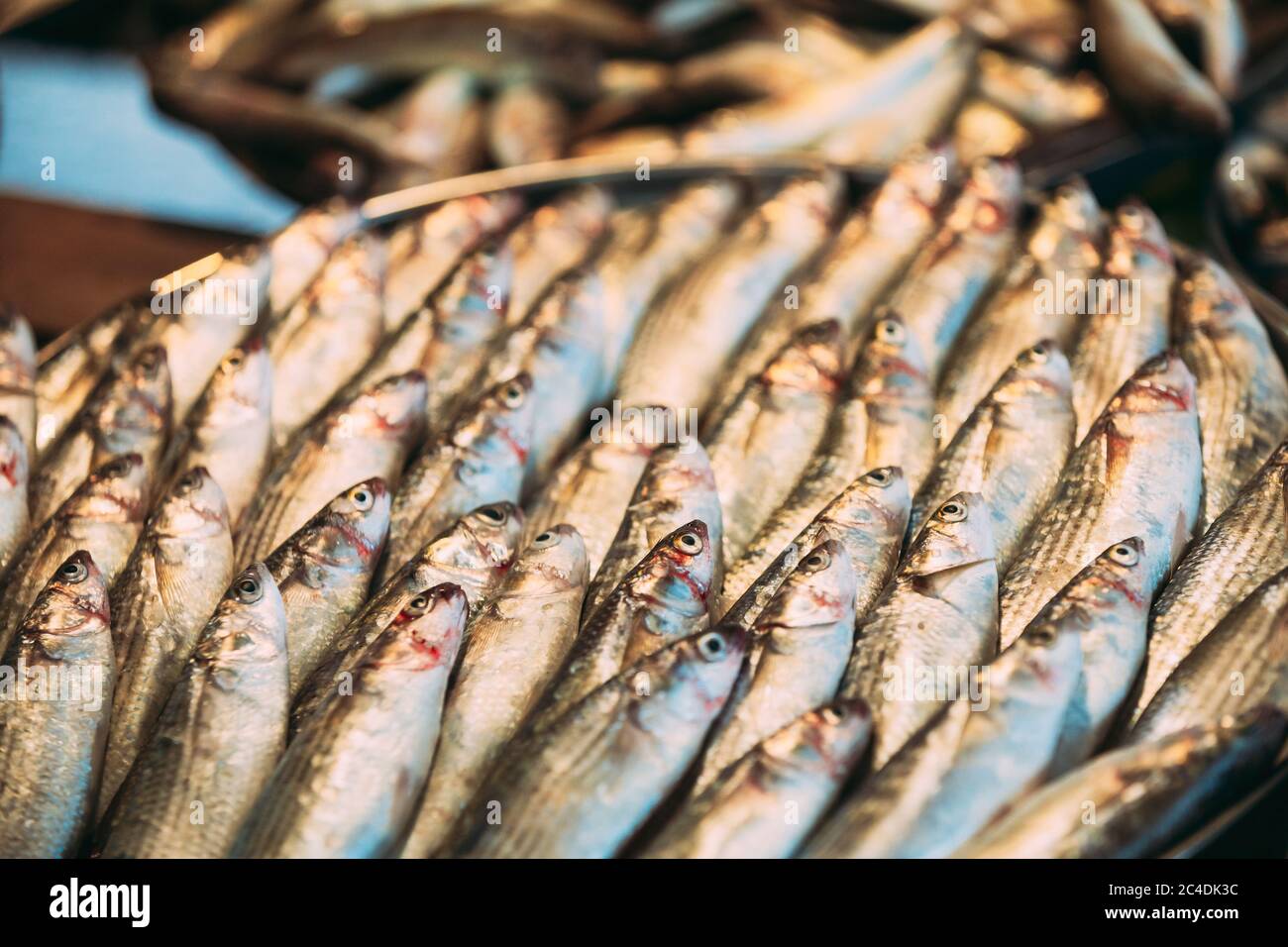 Black sea sprat hi-res stock photography and images - Alamy