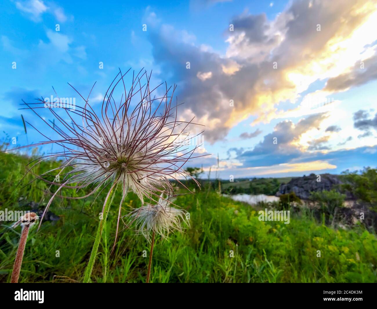 Seeds of change hi-res stock photography and images - Alamy