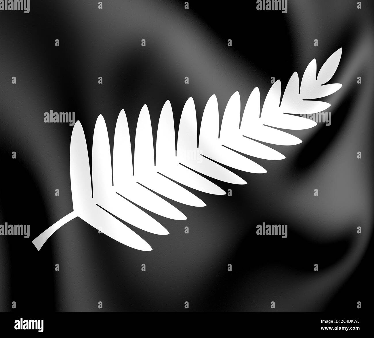 3D Silver Fern Flag (black ensign), Flag of New Zealand. 3D ...