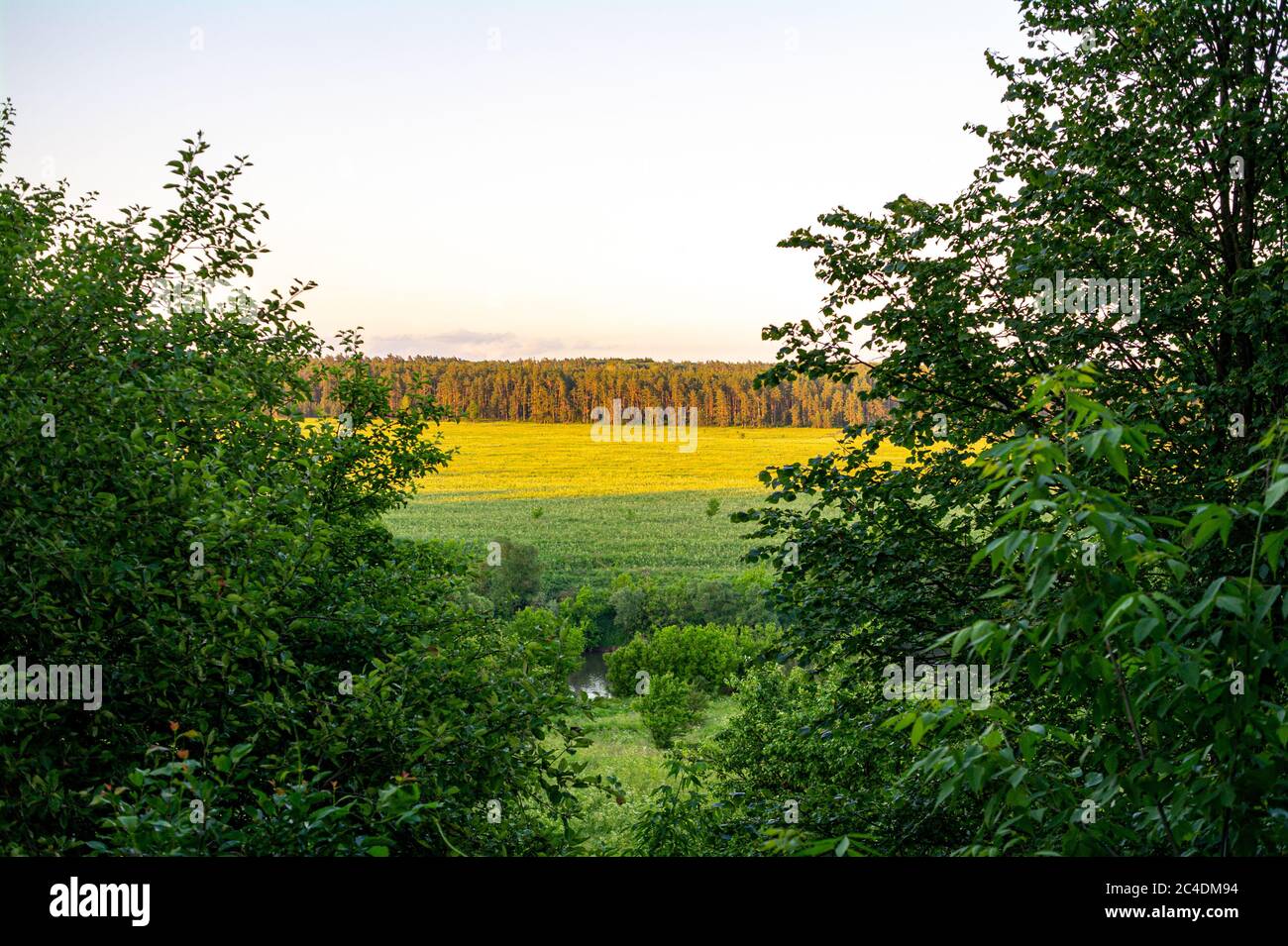 View from between trees to sunlit fields and forest Stock Photo - Alamy