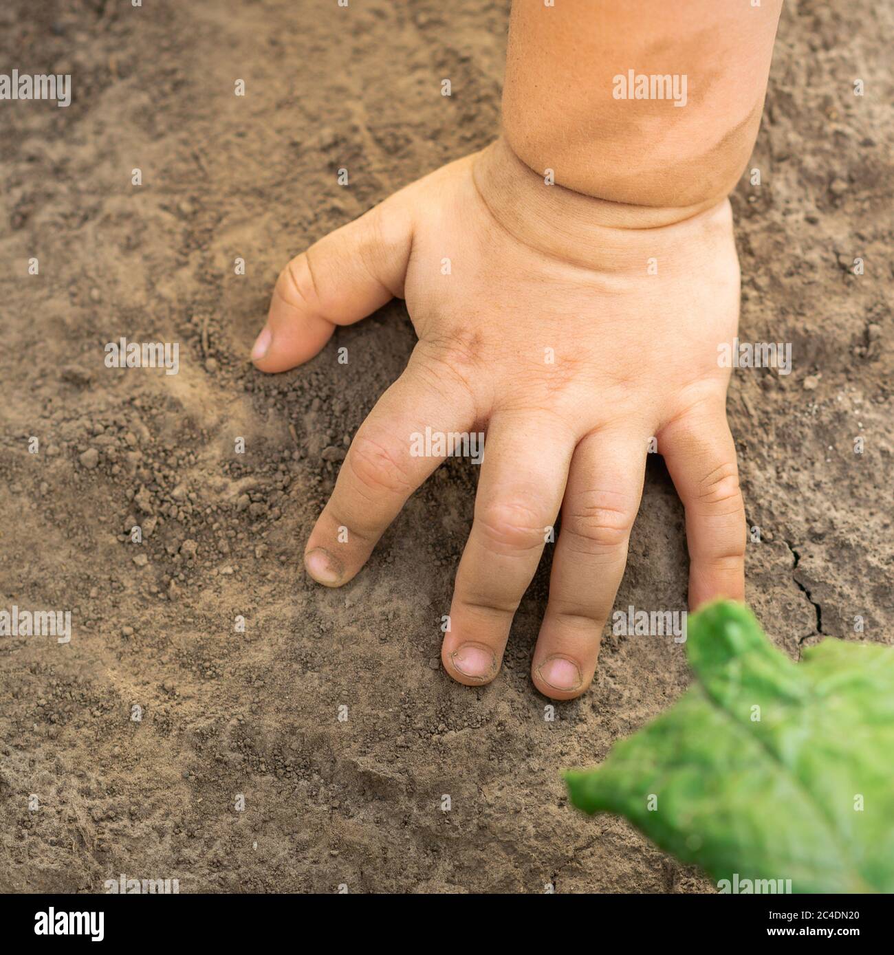 Close up of hand of baby touches dry soil background outdoors Stock ...