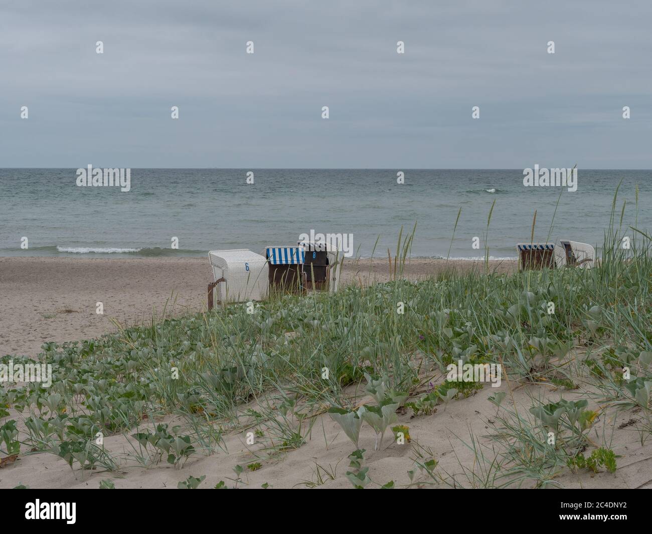 Ahrenshoop beach in germany Stock Photo - Alamy