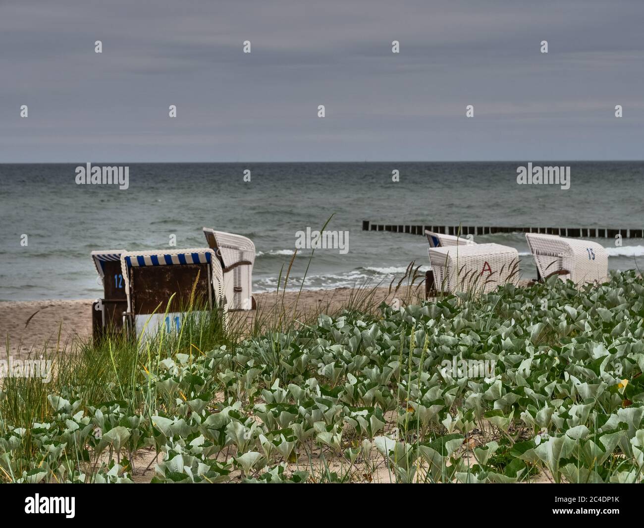 Ahrenshoop beach in germany Stock Photo - Alamy