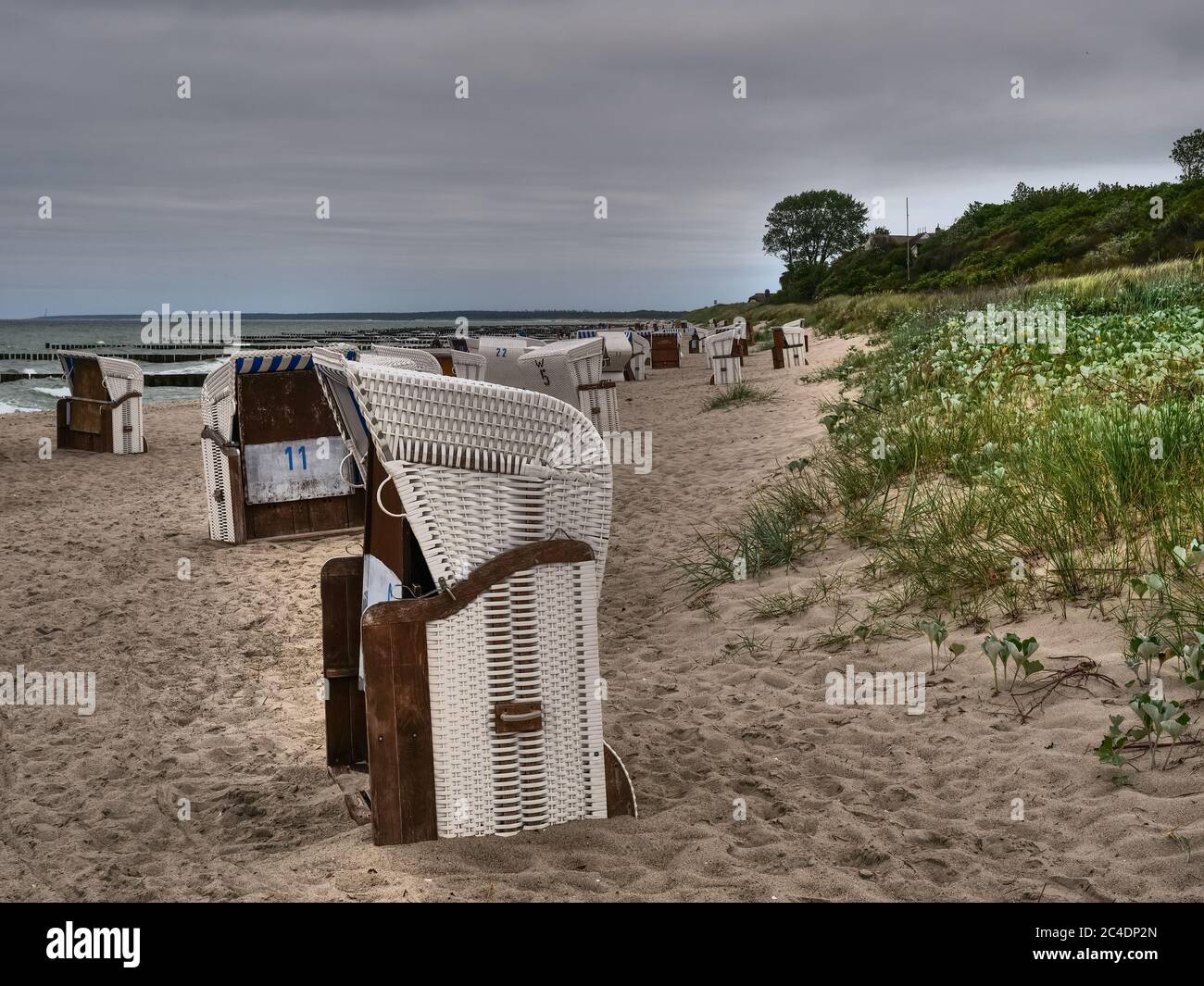 Ahrenshoop beach in germany Stock Photo - Alamy