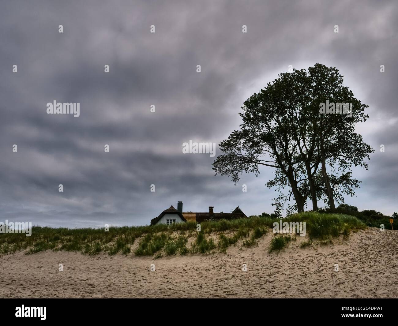 the beach of Ahrenshoop in germany Stock Photo - Alamy